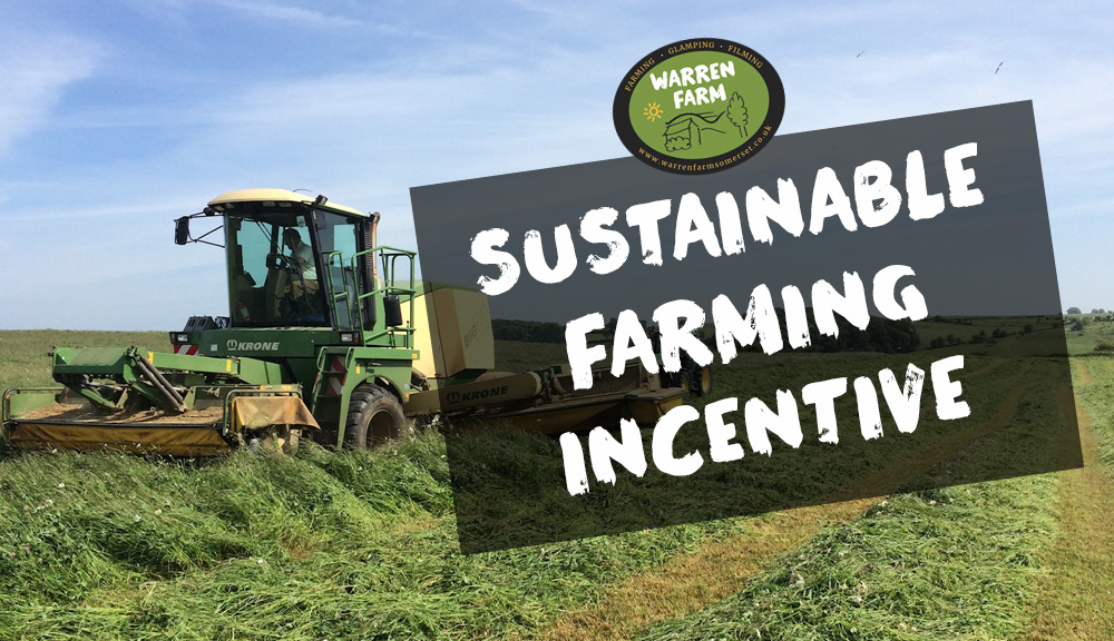 Farm update | Our glamping site - get the most out of your visit.